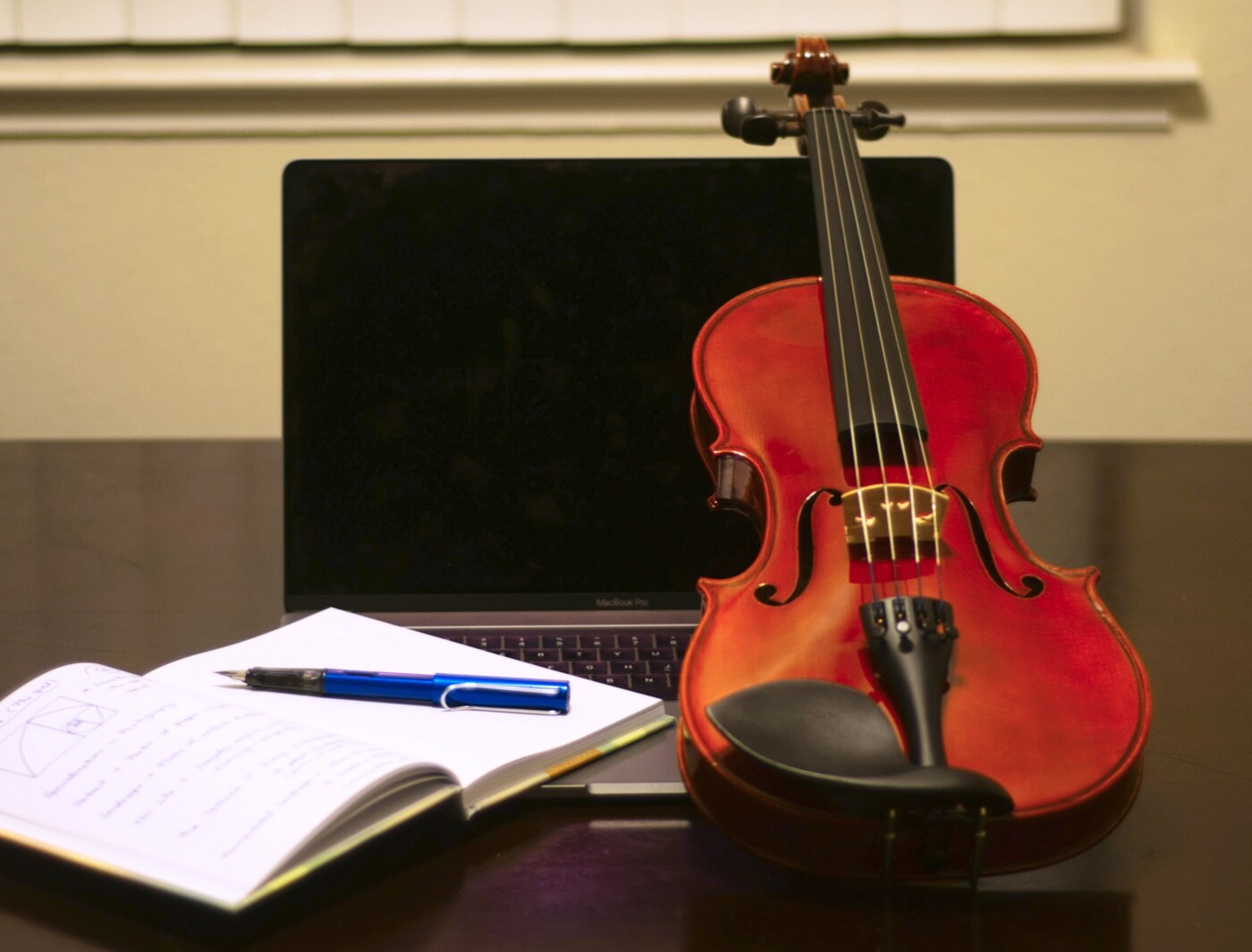 Violin Practice Course - ViolinLab