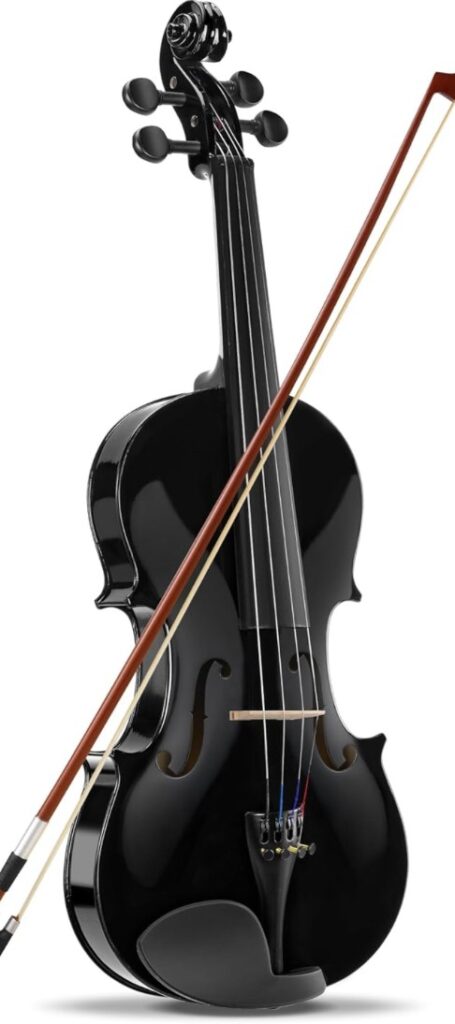 Guide to Buying a Violin - ViolinLab